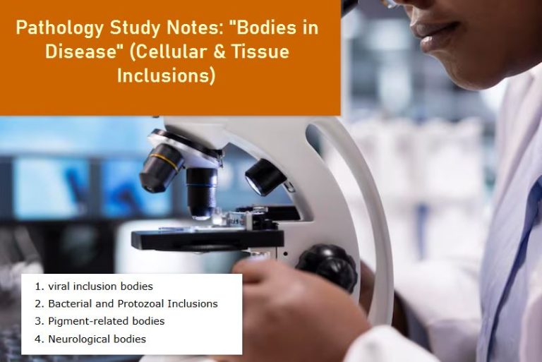 Pathology Study Notes: Key "Bodies In Disease" For Medical Exams